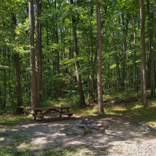 Chestnut Ridge Park - Bruceton Mills, West Virginia - RV LIFE ...